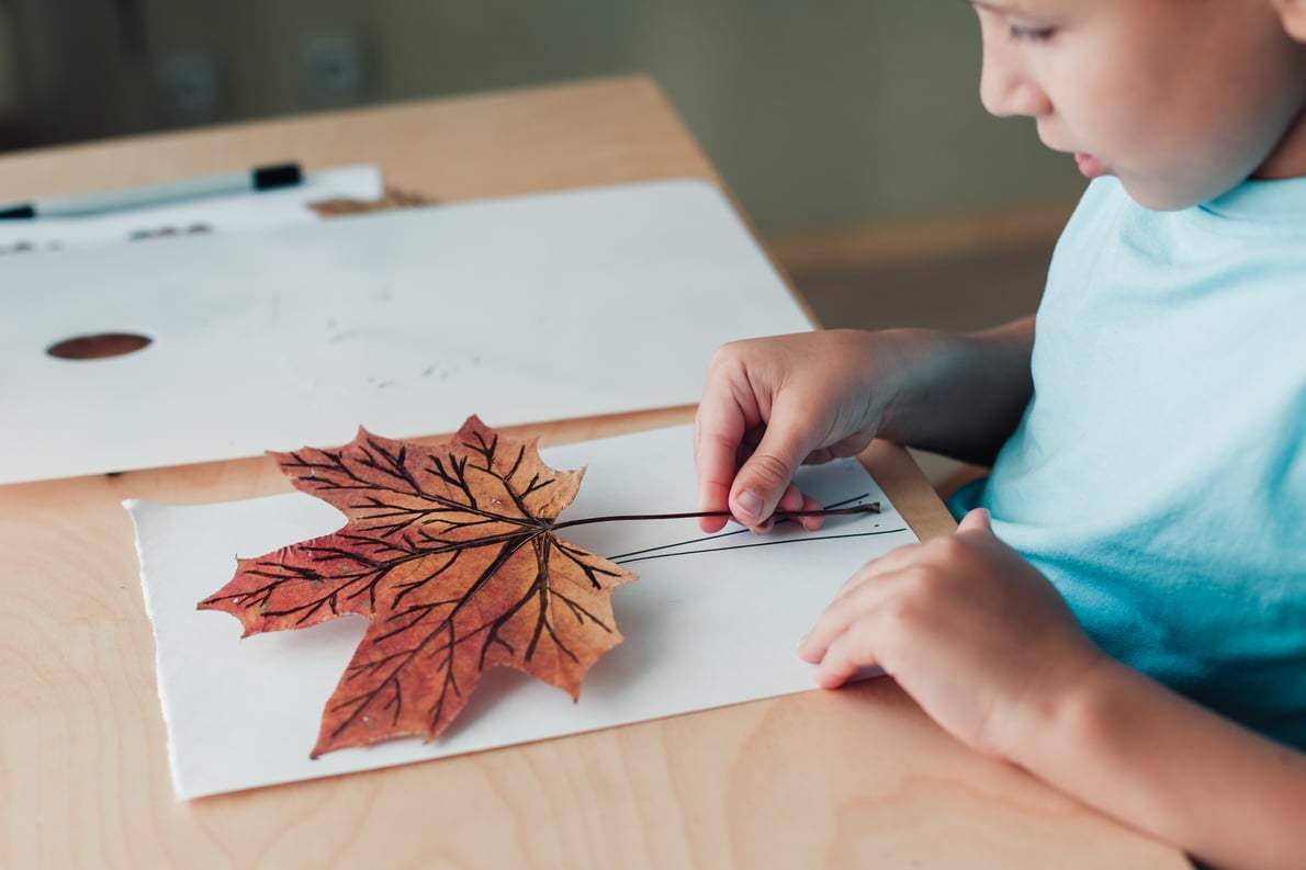 5 Canada Day Crafts: Maple Leaf Art