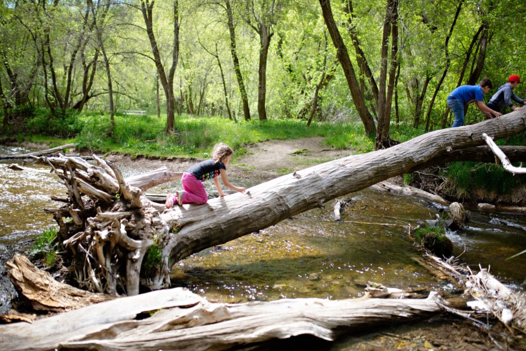 Exploring Nature – Spring Activities And Crafts For Kids